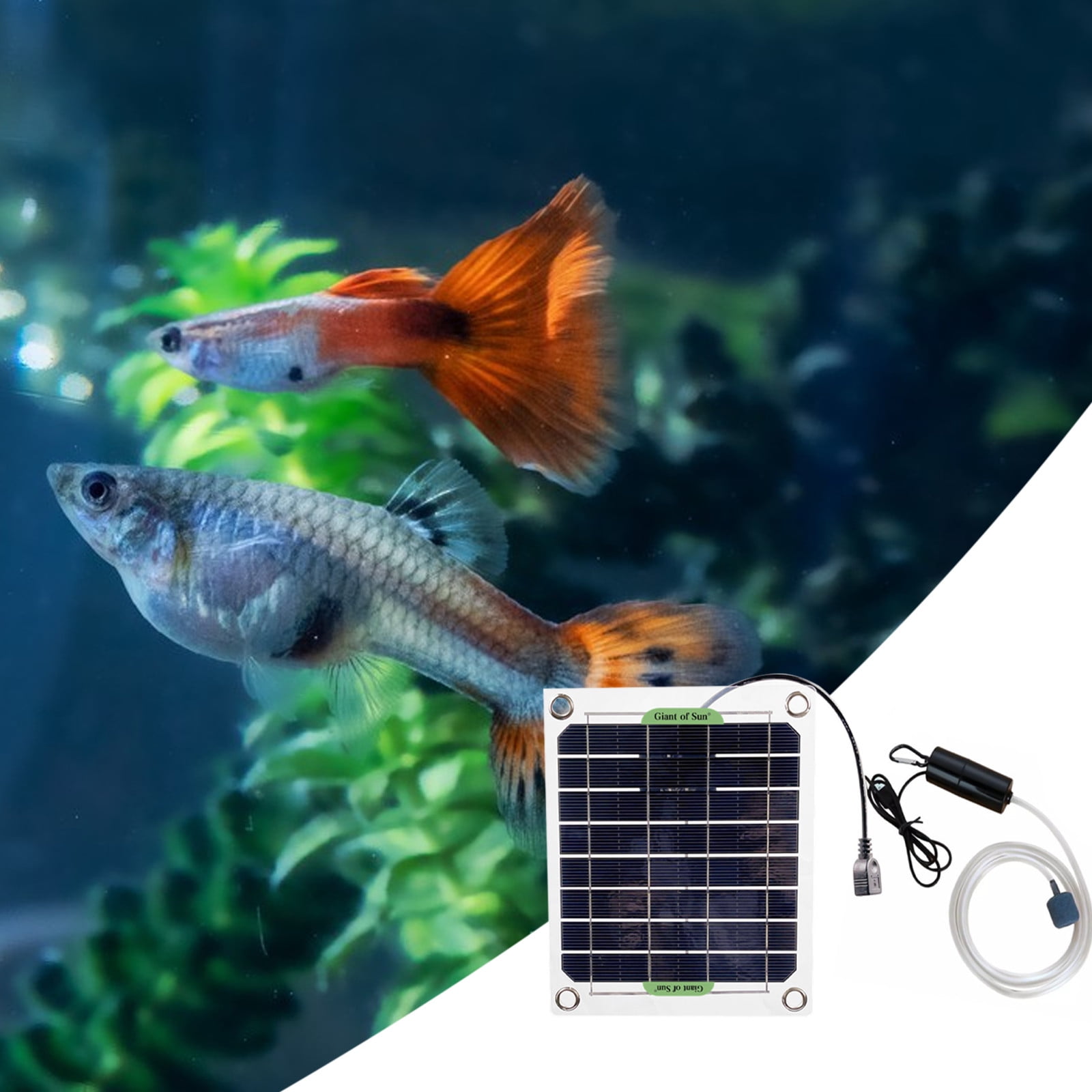 Latrodar Water Pump Fish Tank Oxygenator,Outdoor Pool Pond Oxygen ...