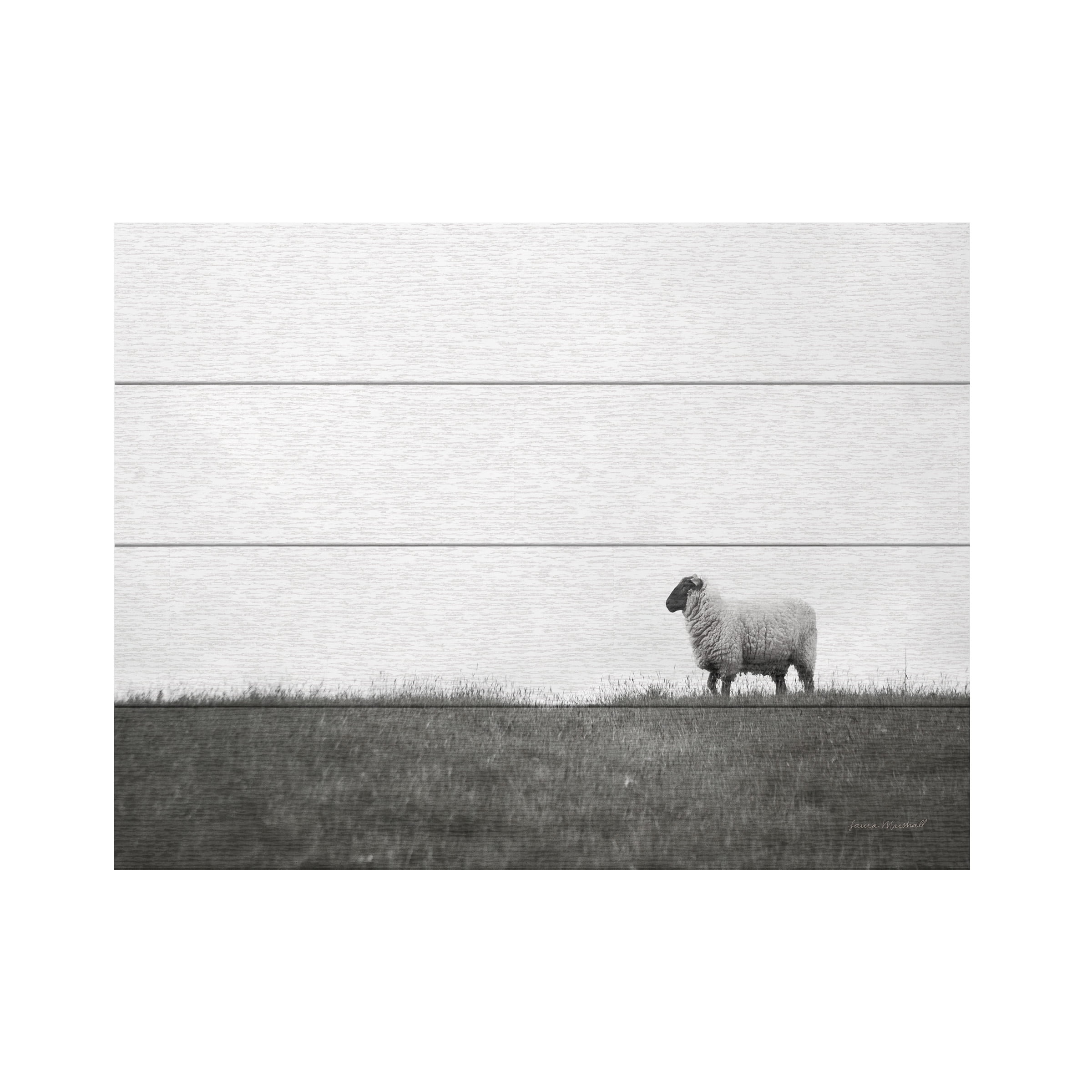 Trademark Fine Art Islay Sheep II Wood Slat Art 12x16 - Walmart.com