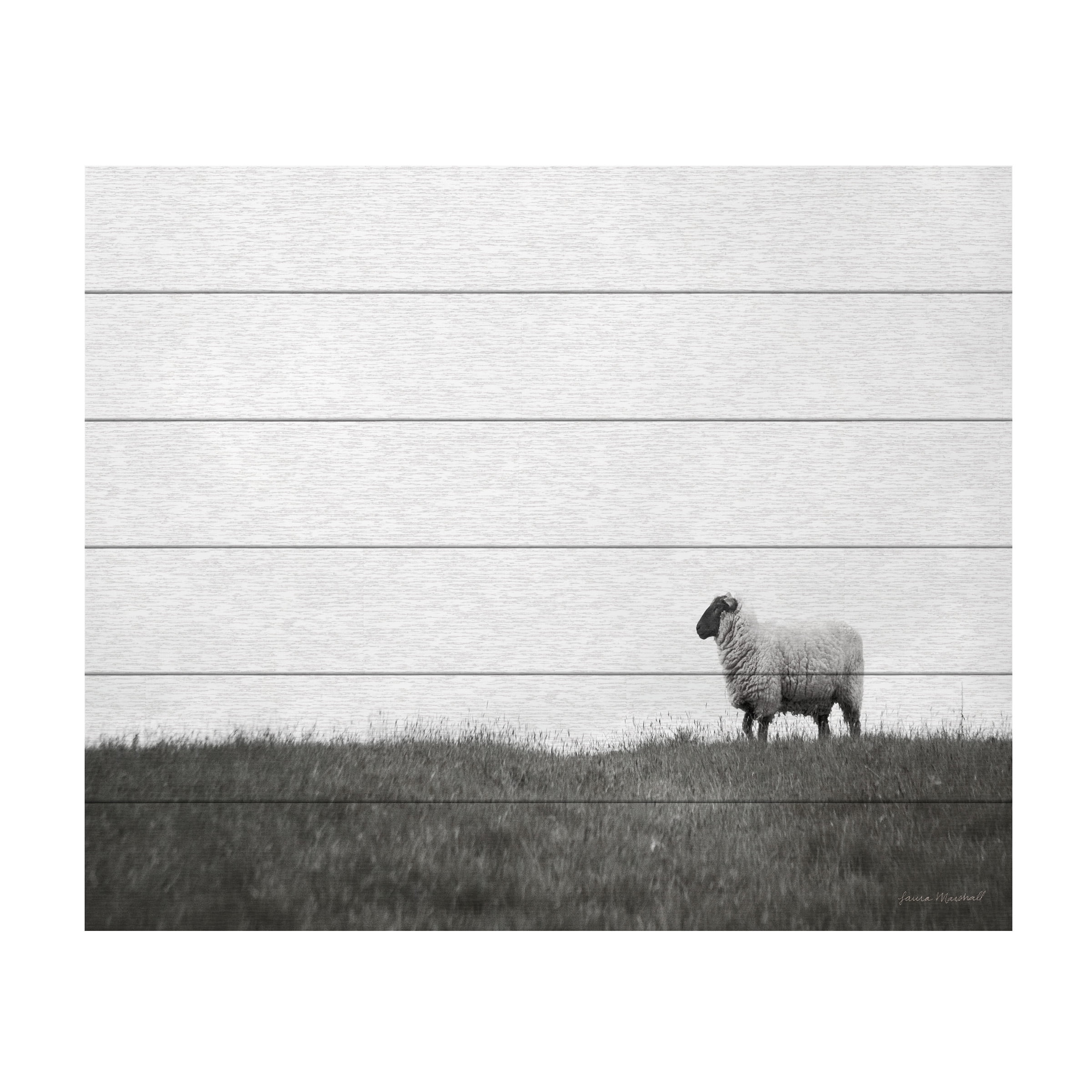 Laura Marshall 'Islay Sheep II' Wood Slat Art 18x22 - Walmart.com