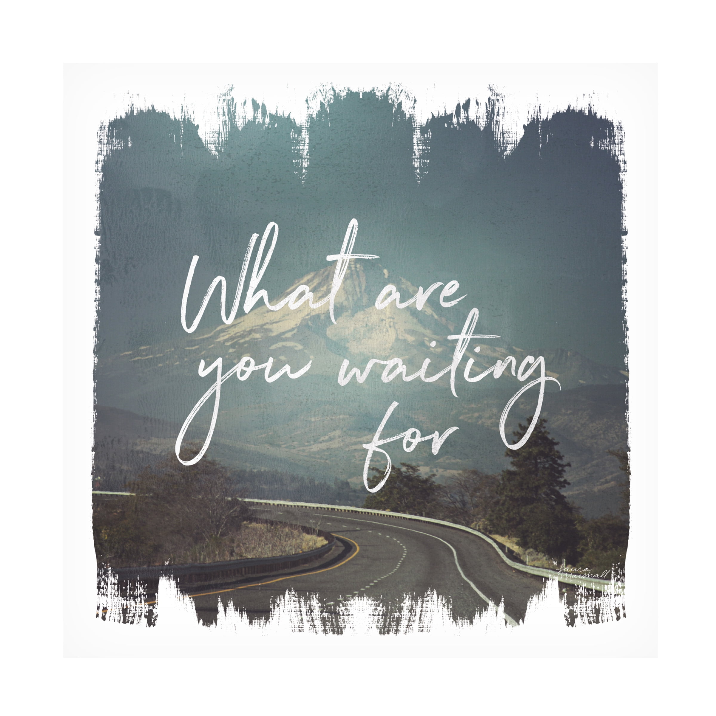 Laura Marshall 'Wild Wishes III' Canvas Art - Walmart.com