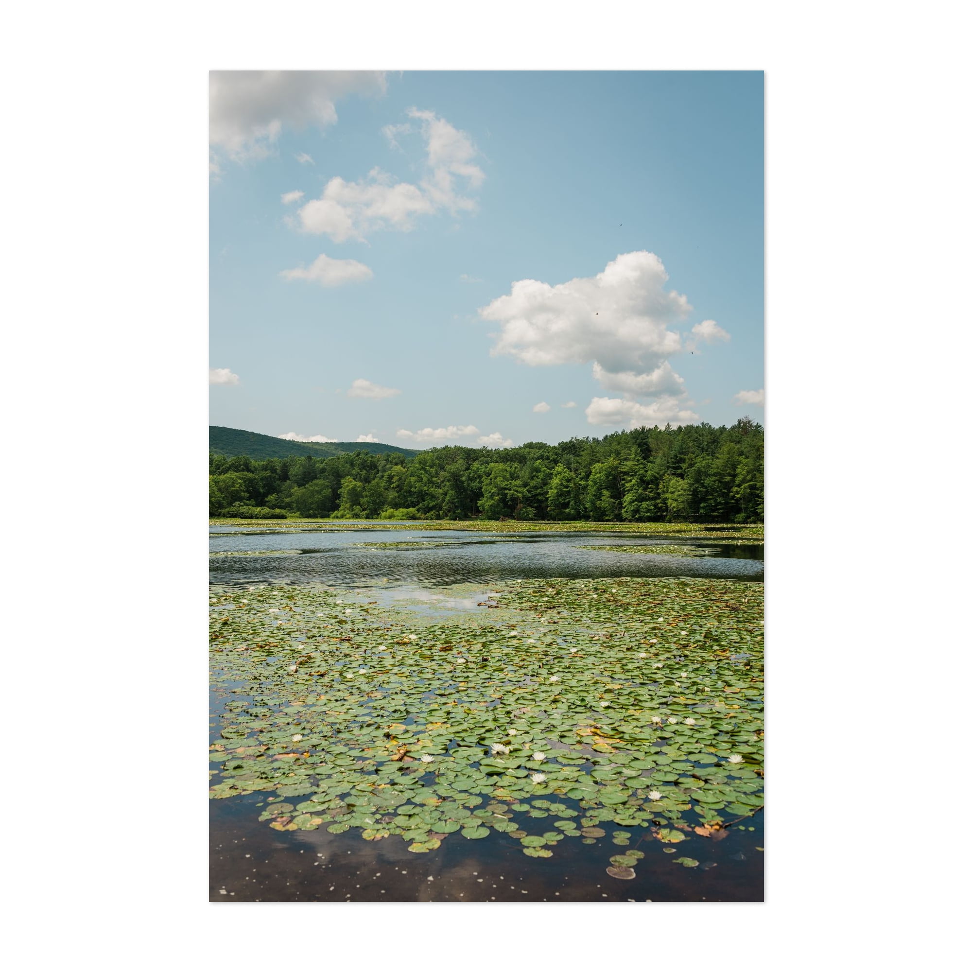Laurel Lake, Pine Grove Furnace 01 - Pennsylvania Photography Unframed ...