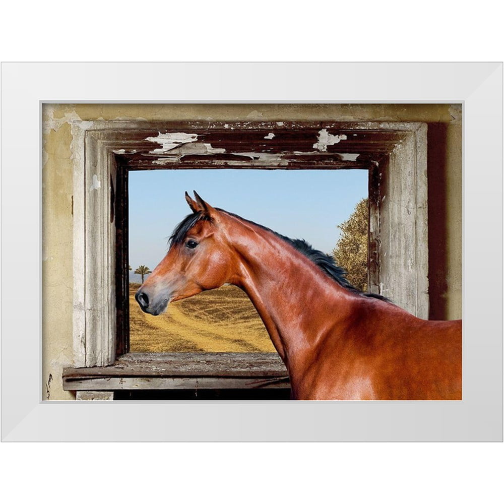 Lauren, Julian 18x14 White Modern Wood Framed Museum Art Print Titled ...