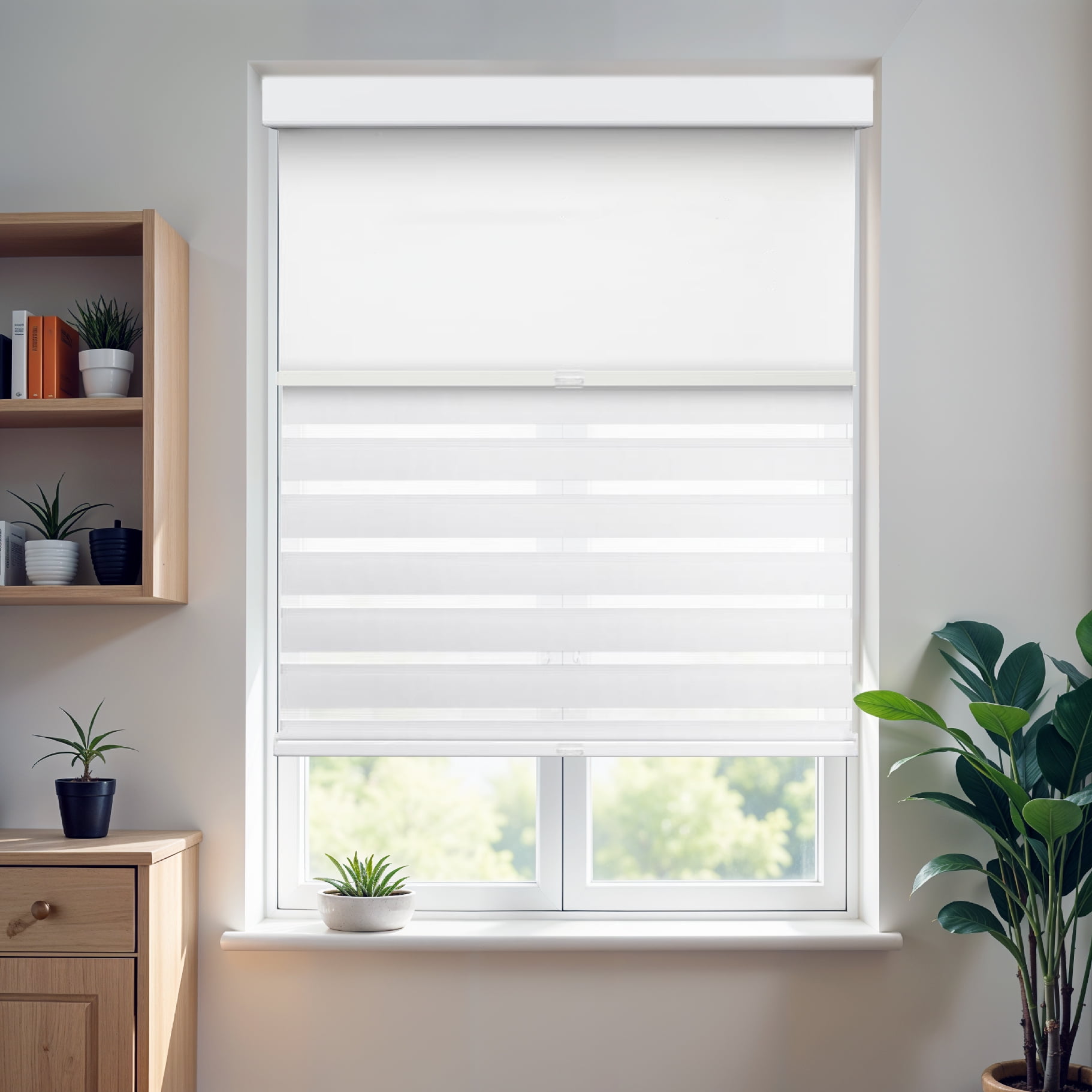 Lauren Taylor Cordless Zebra Blinds for Windows - 100% Polypropylene ...