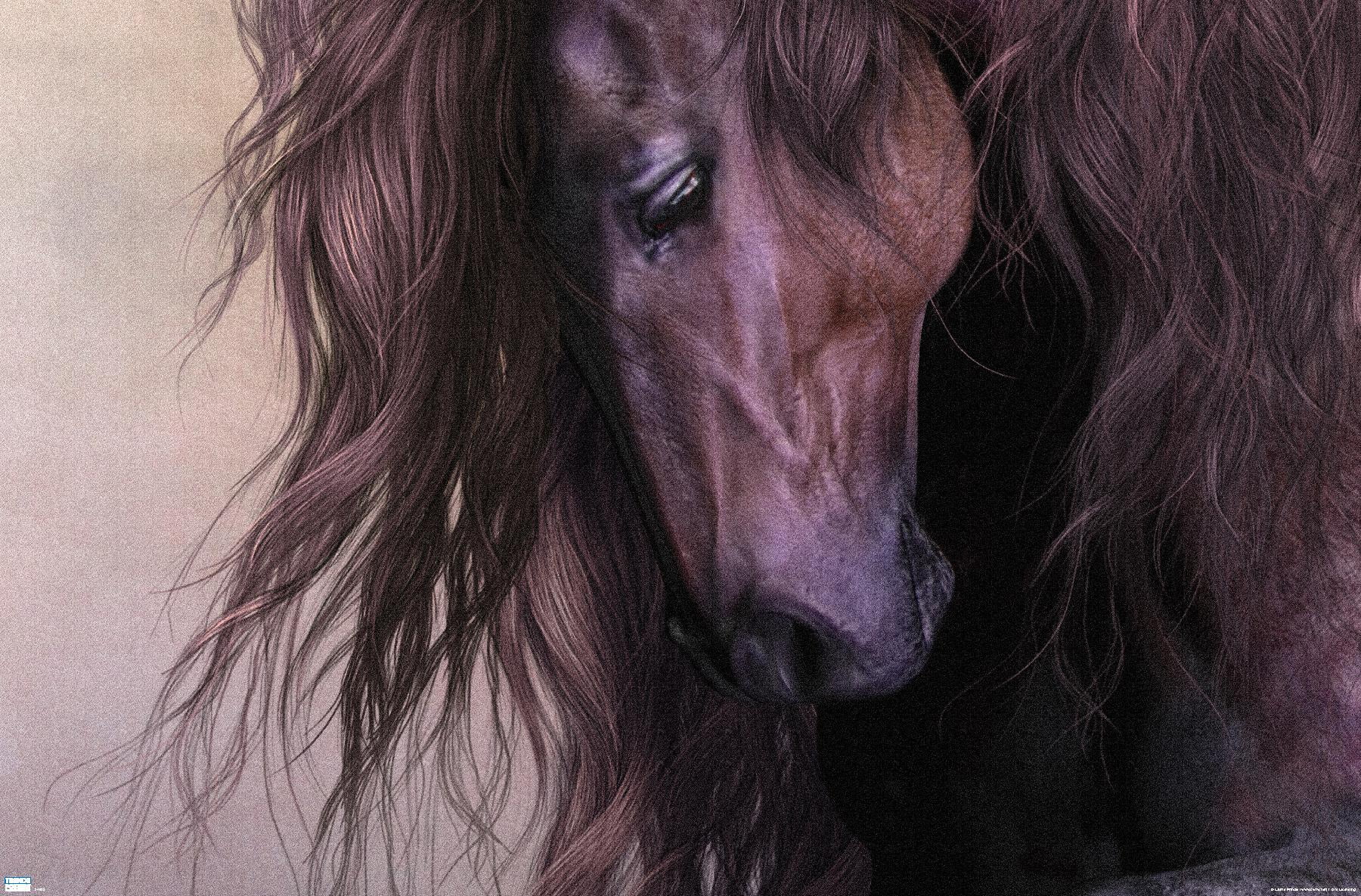 Laurie Prindle - Equus Wall Poster, 14.725" x 22.375" - Walmart.com