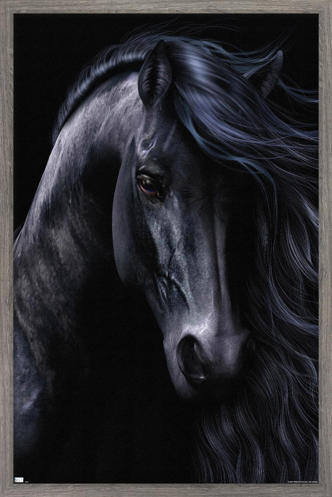 Laurie Prindle - The Black Wall Poster, 14.725" x 22.375" Framed ...
