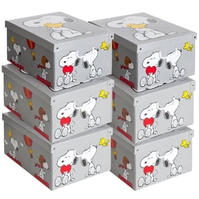 Decorative Cardboard Storage Boxes