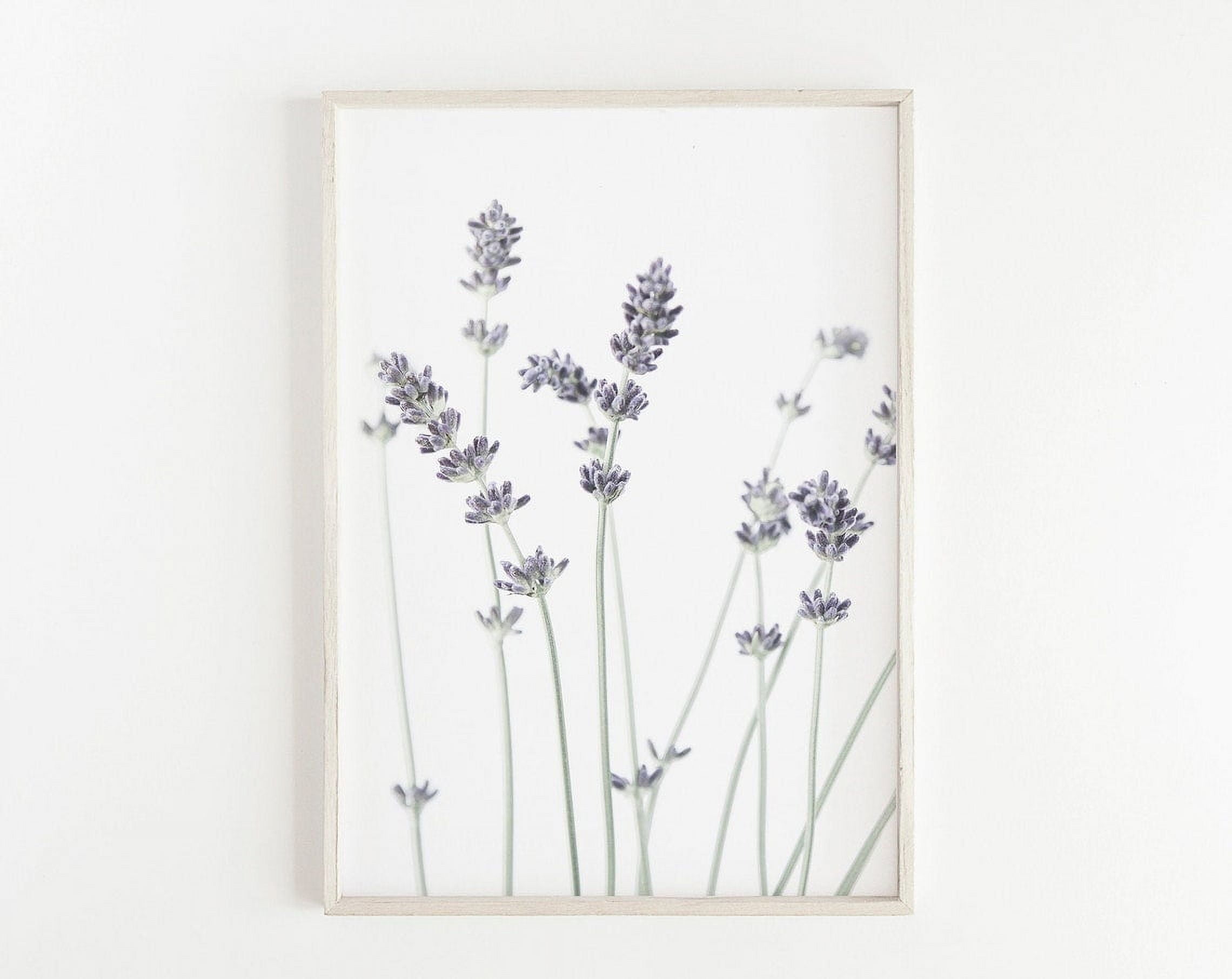 Lavender Art Print, Modern Farmhouse Decor, Botanical Print Purple ...