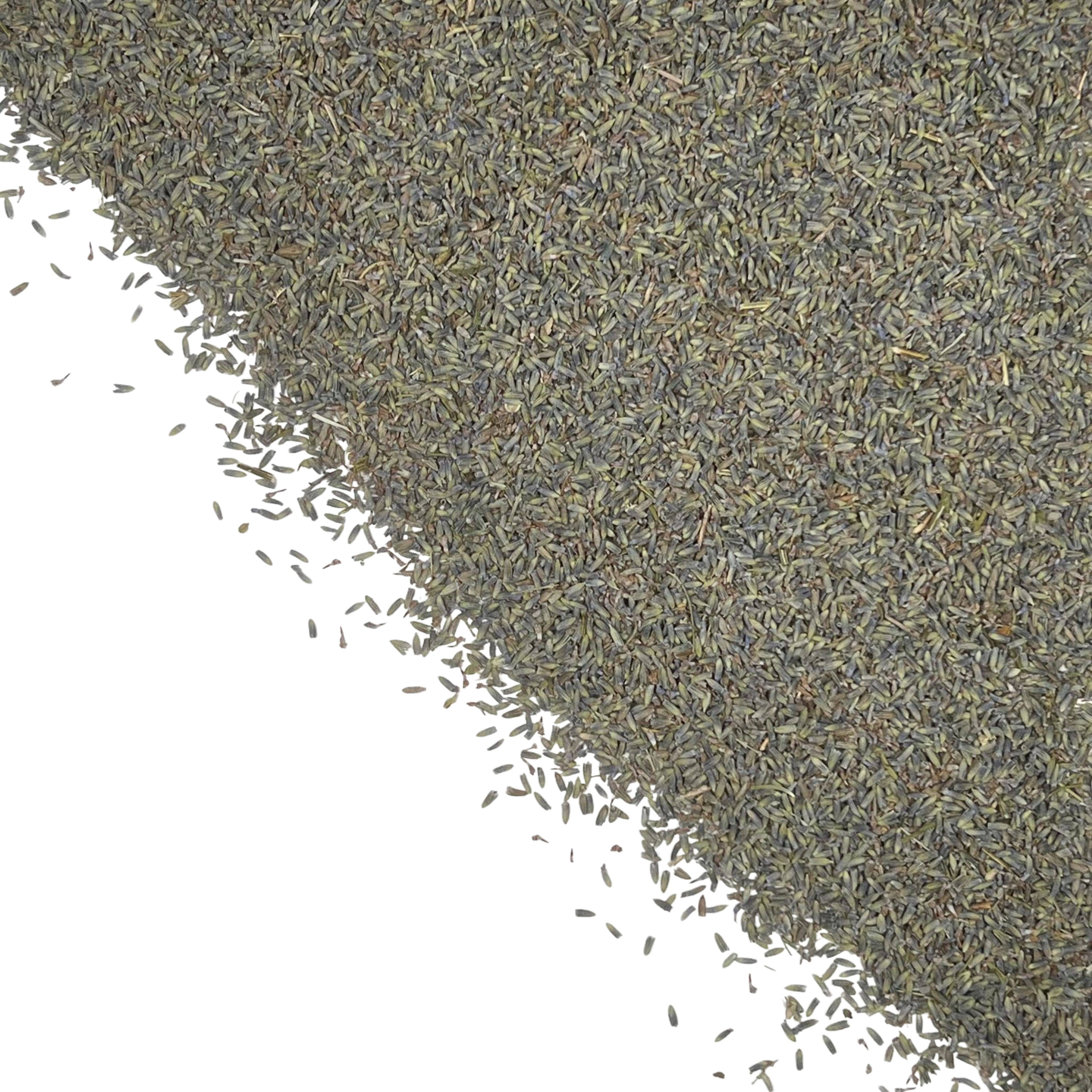 Lavender, Extra Blue Buds | Organic, Bulk Size 16 oz | Tree Fifty Four ...