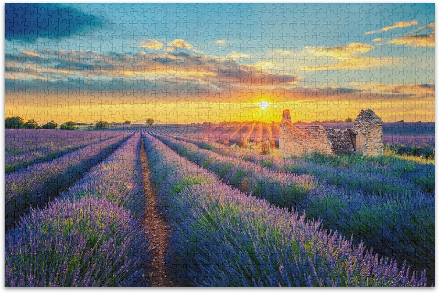 Lavender Field Lavender Flowers with Sunset in Blue Sky Jigsaw Puzzle ...