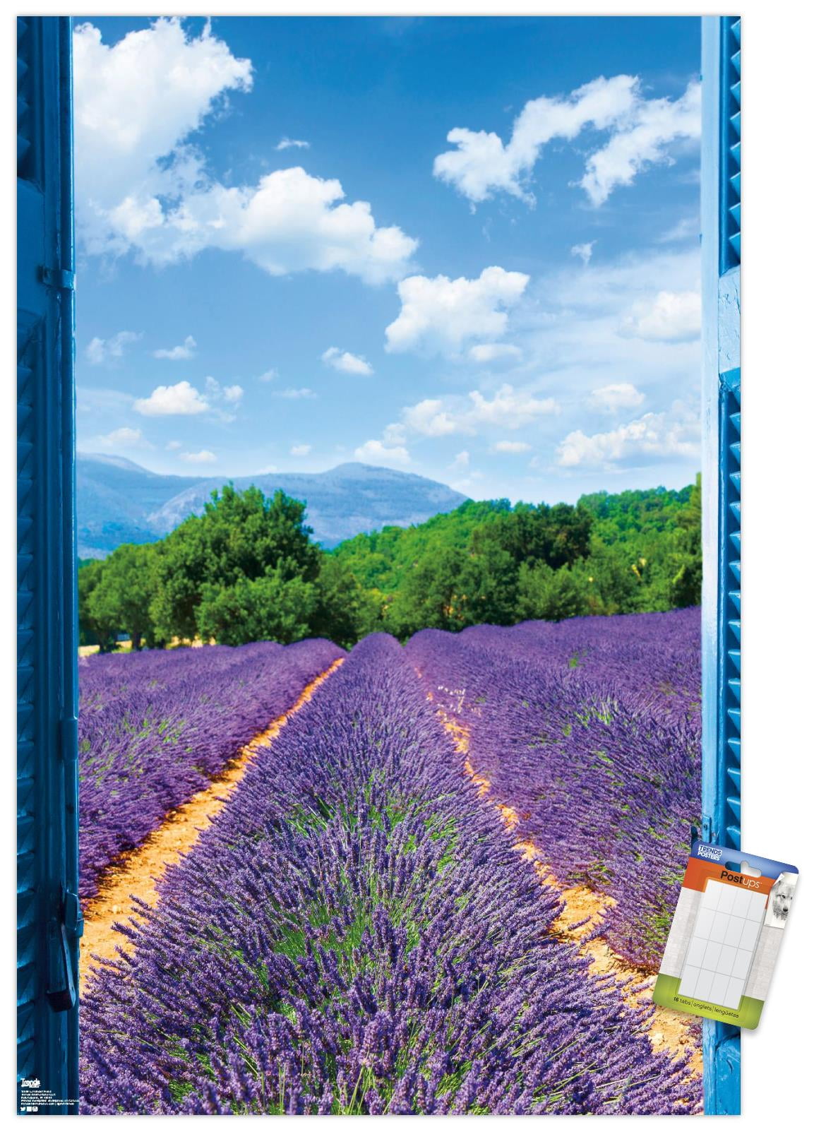 Lavender Field Wall Poster, 14.725" x 22.375" - Walmart.com