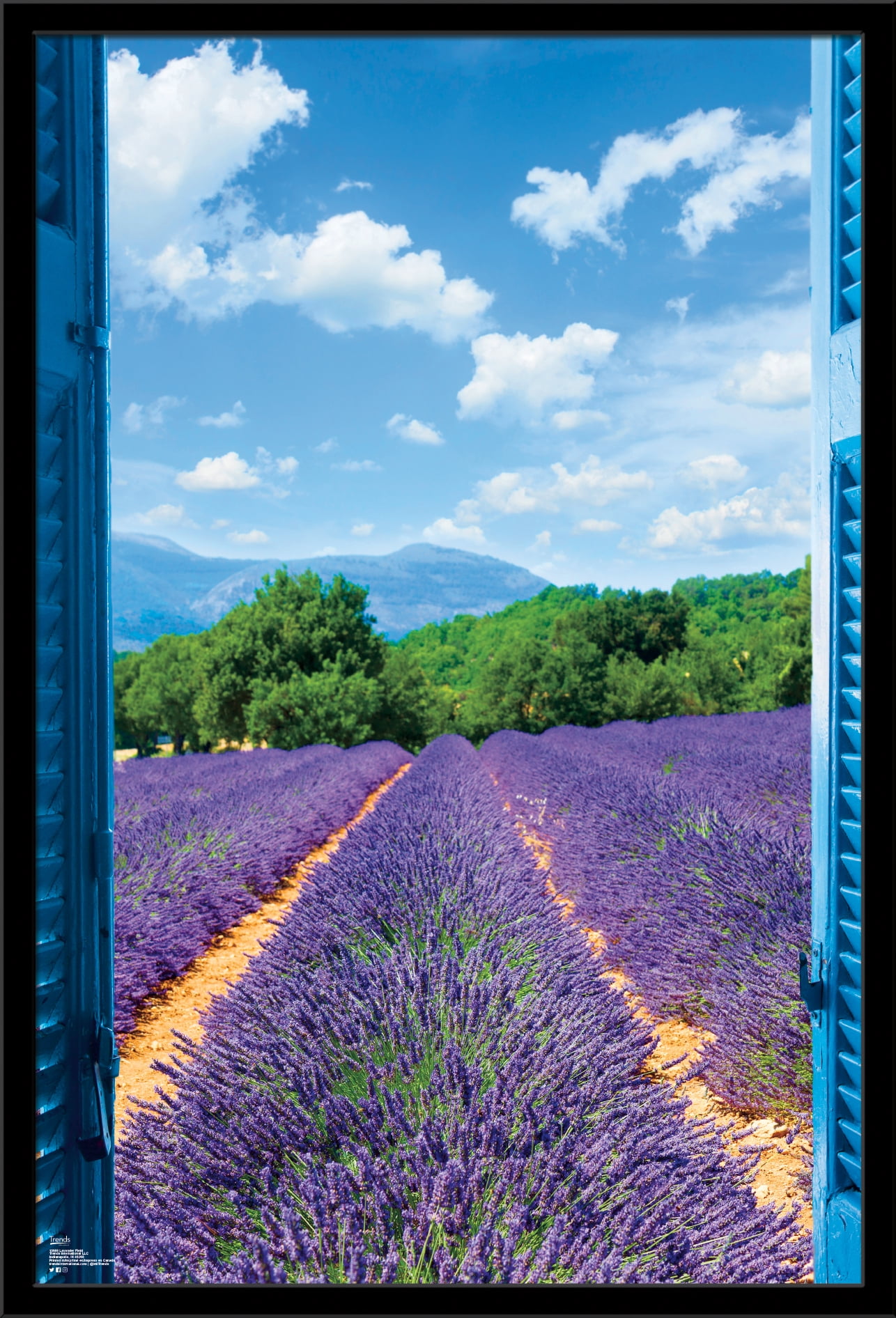 Lavender Field Wall Poster, 22.375" x 34", Framed - Walmart.com