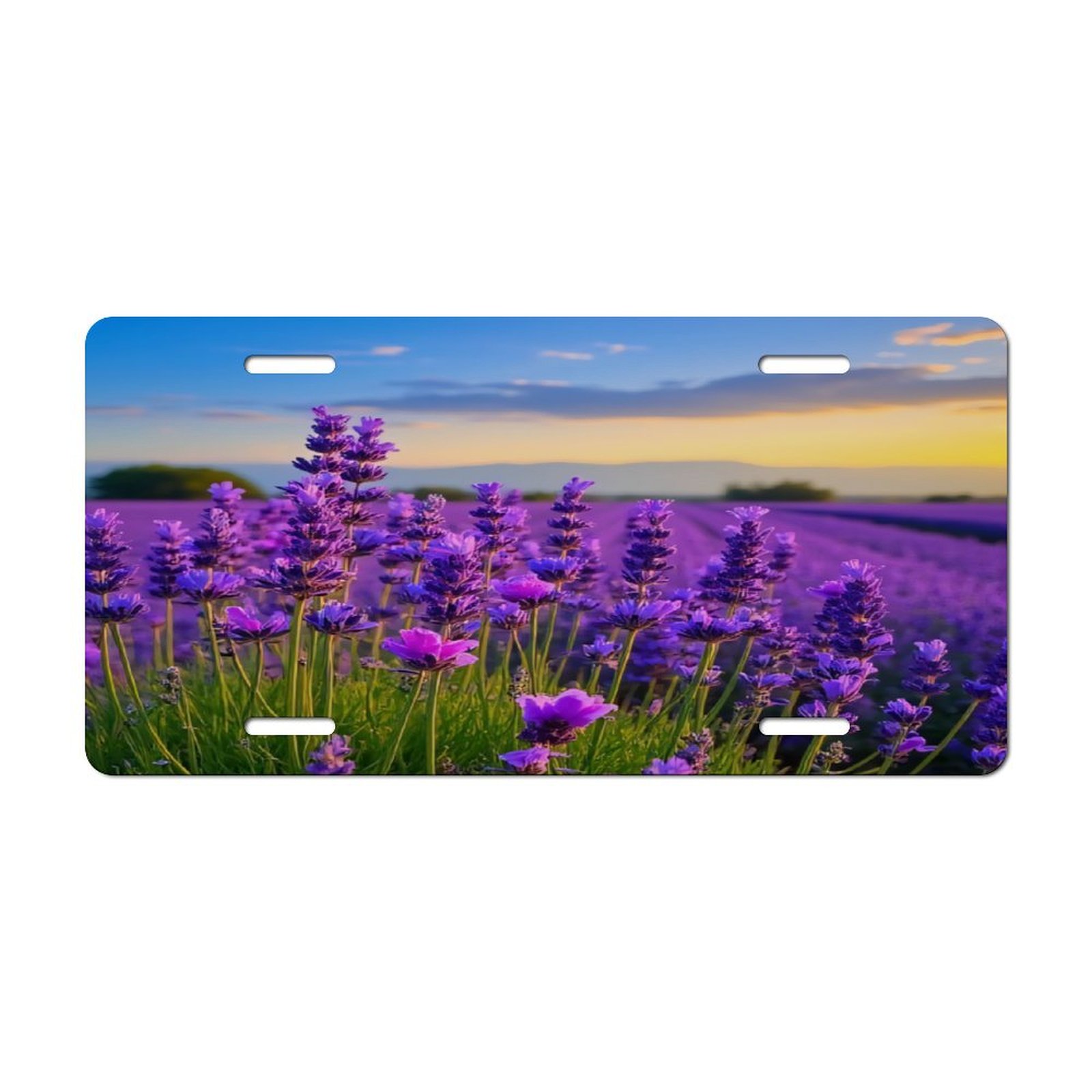 Lavender Field at Sunset Car Decorative Front License Plate,Vanity Tag ...