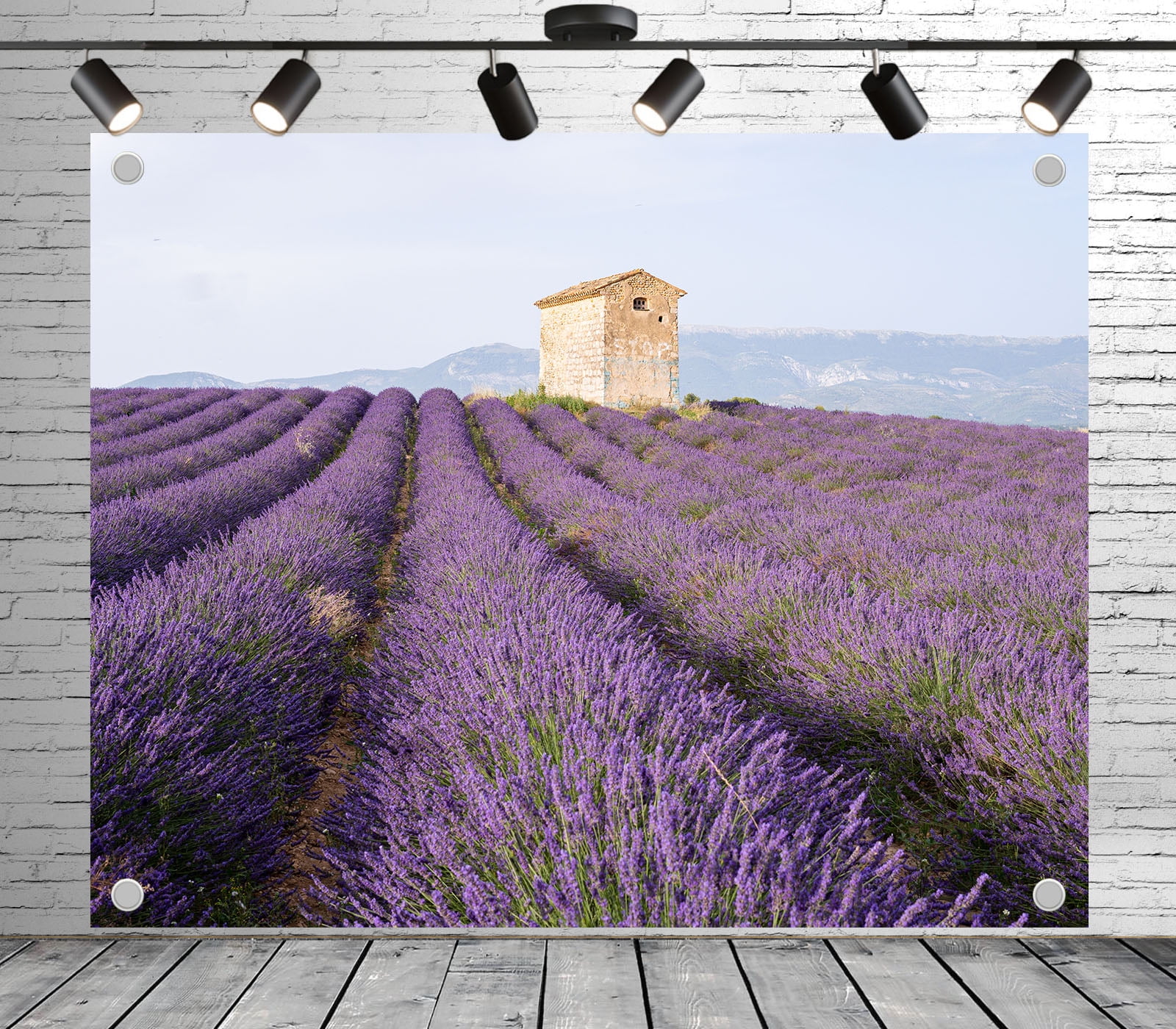 Lavender Flower Field Backdrop | Polyester Fabric Banners Decorative ...