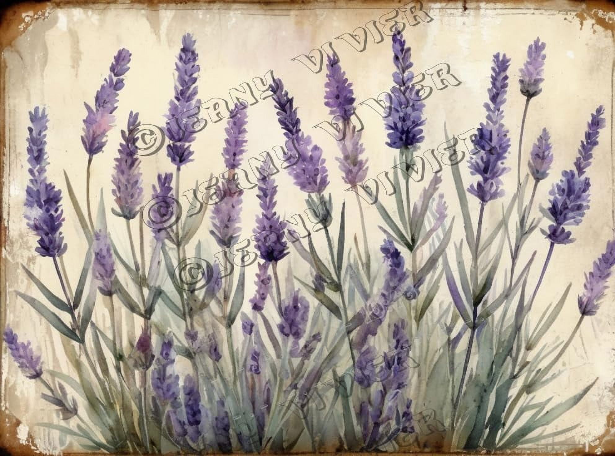 Lavender Flower Retro Aluminum Sign 12"x16" Metal Sign Lavender Flower ...