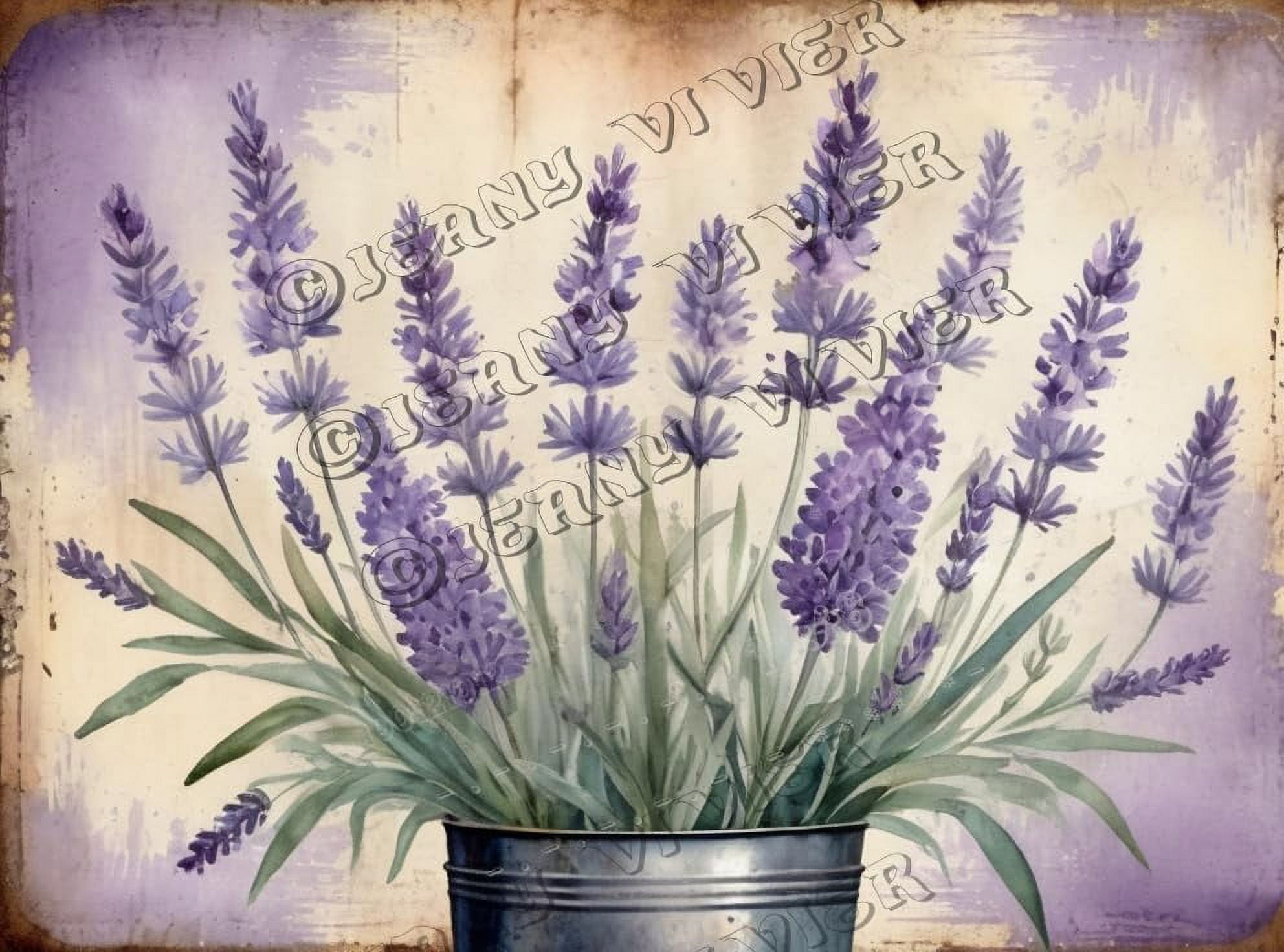 Lavender Flower Retro Aluminum Sign 12"x16" Metal Sign Lavender Flower ...