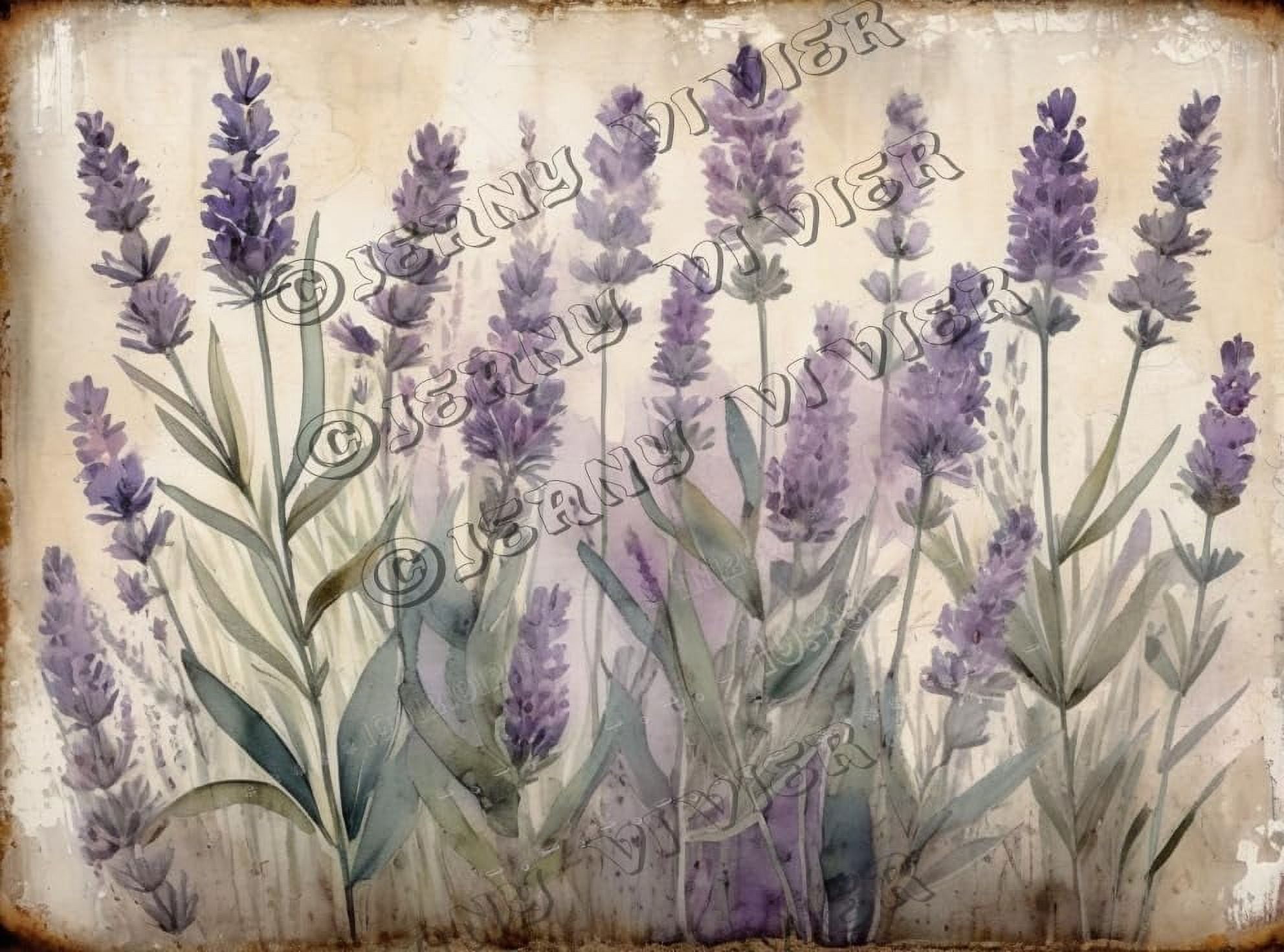 Lavender Flower Retro Aluminum Sign 12"x8" Metal Sign Lavender Flower ...