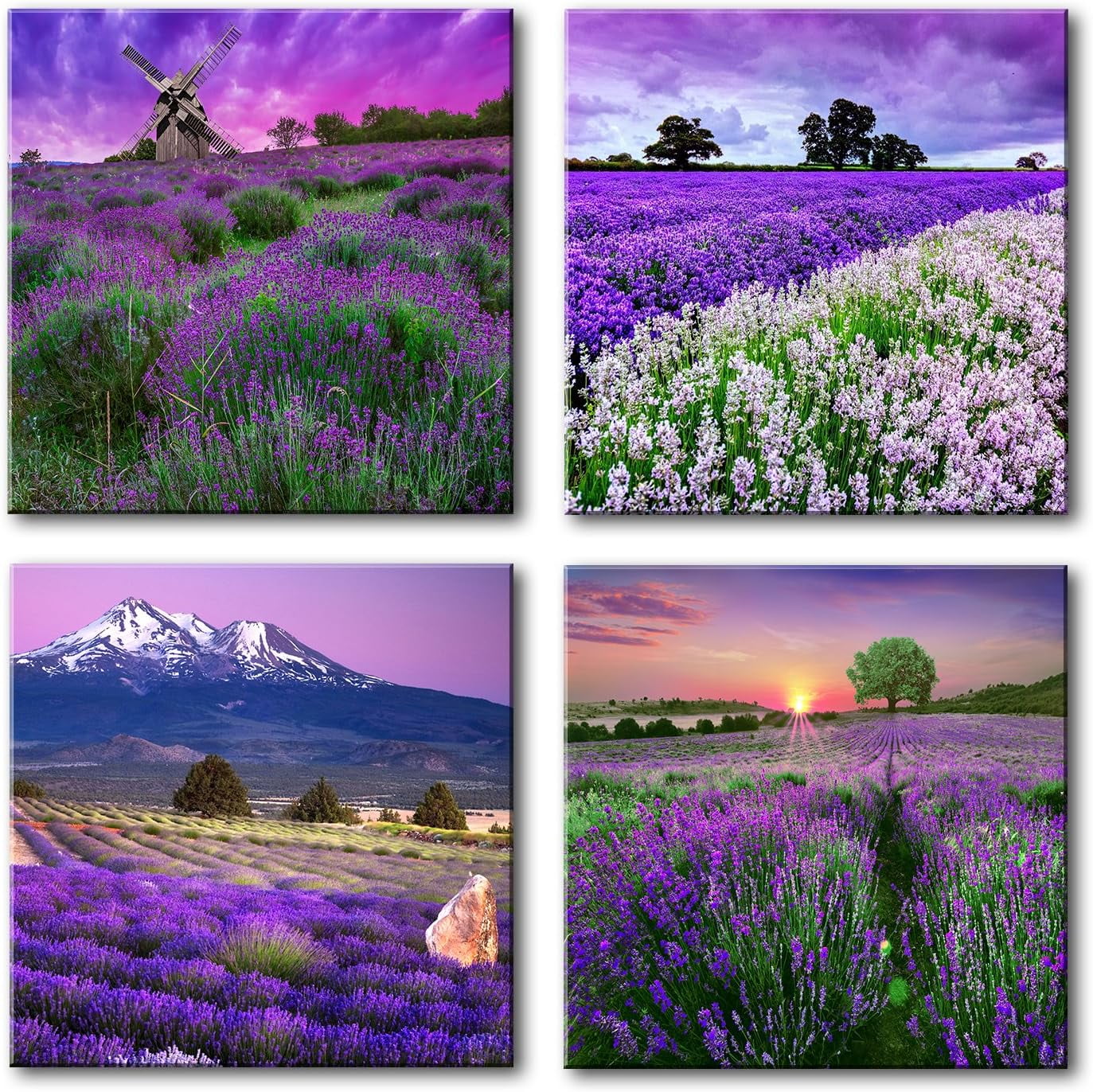 Lavender Flowers Wall Art Decor Canvas Prints Purple Floral Pictures ...
