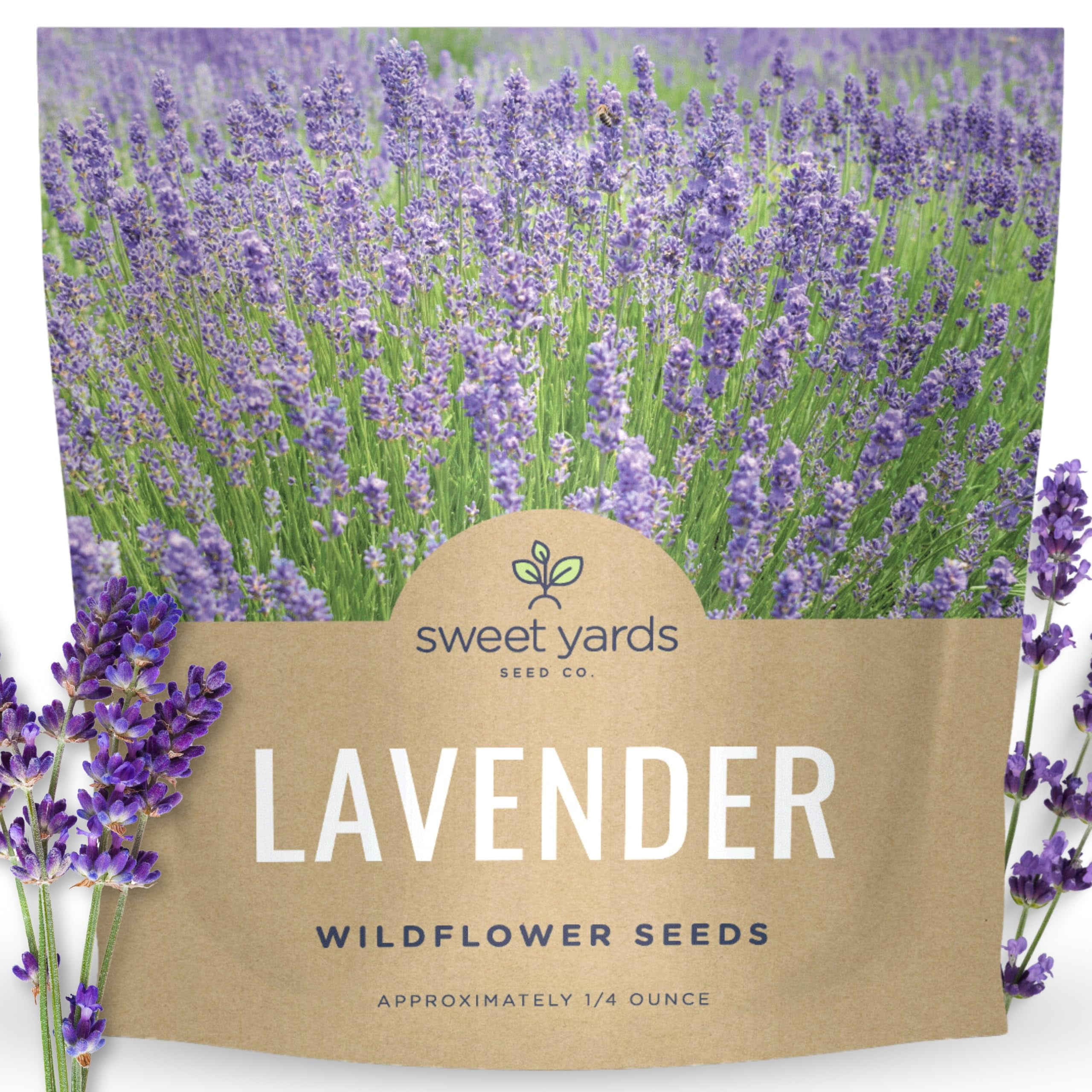 Lavender - Large TWE5 1/4 Ounce Packet - 7,000 Flower Seeds for ...