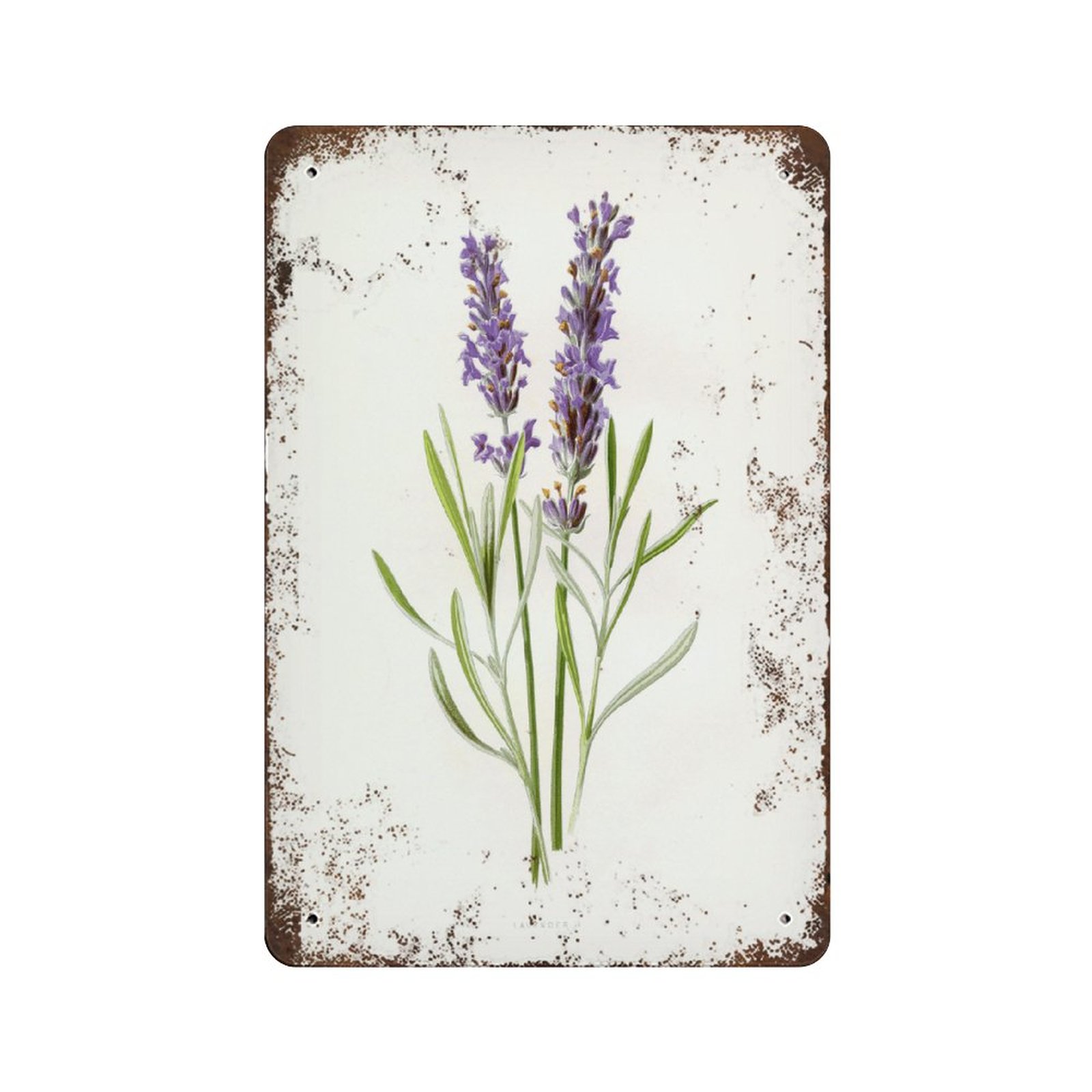 Lavender Print • Vintage Lavender Art! • Antique Bathroom Art ...