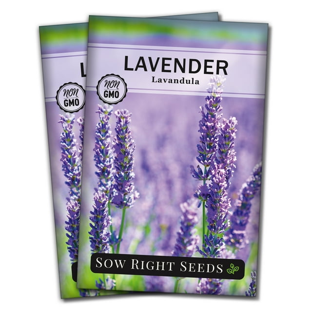 Lavender Seeds for Planting - Non GMO Heirloom Varieties for your ...