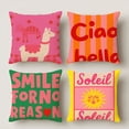 Lavish Cover 14×14 Inch Whimsical Bright Pillow Cover, Fun Quote ...