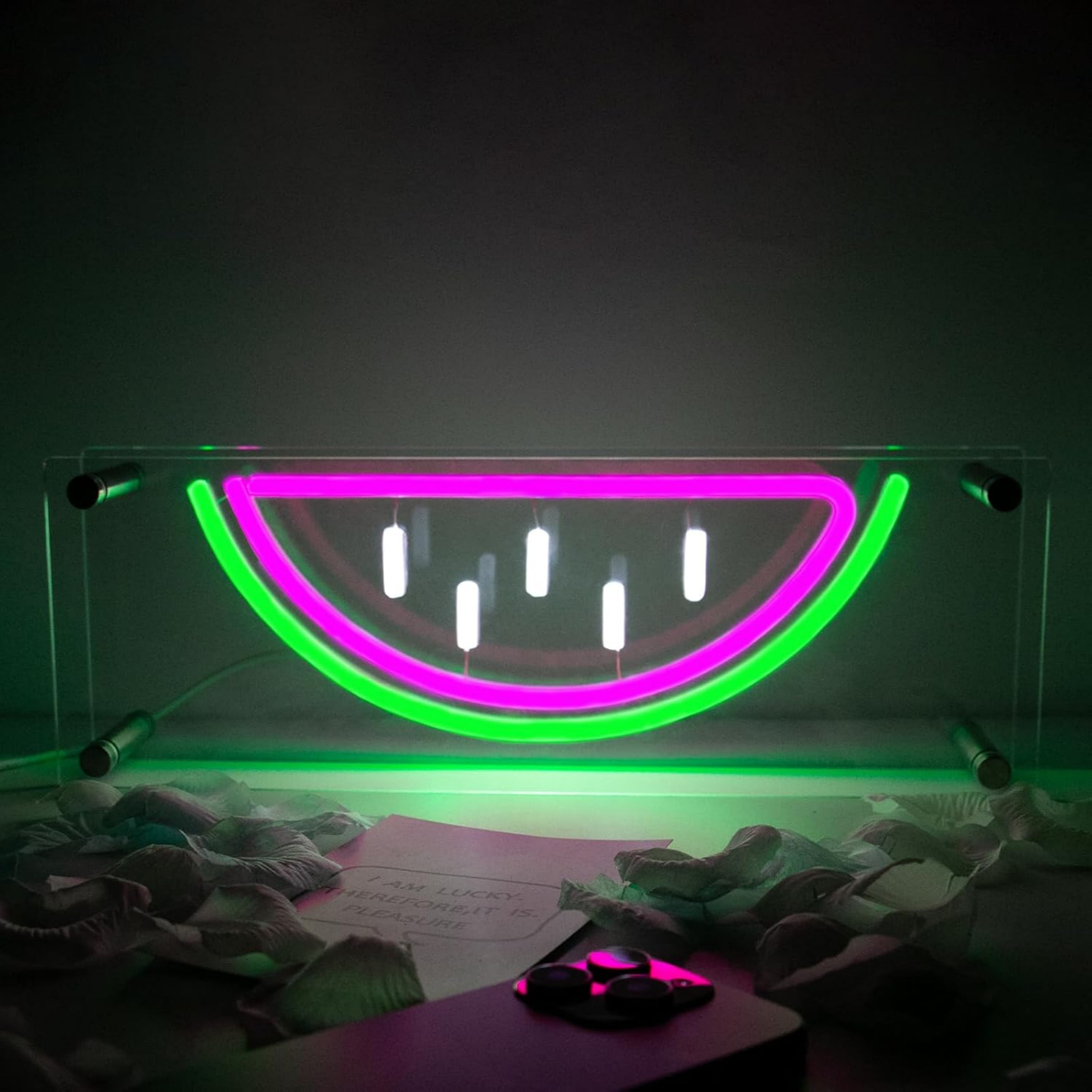 UPONRAY Watermelon Desktop Neon Signs, 13.8"*4.7" Dimmable & USB ...