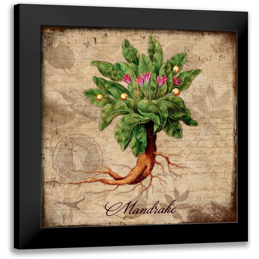 Lavoie, Tina 20x20 Black Modern Framed Museum Art Print Titled ...