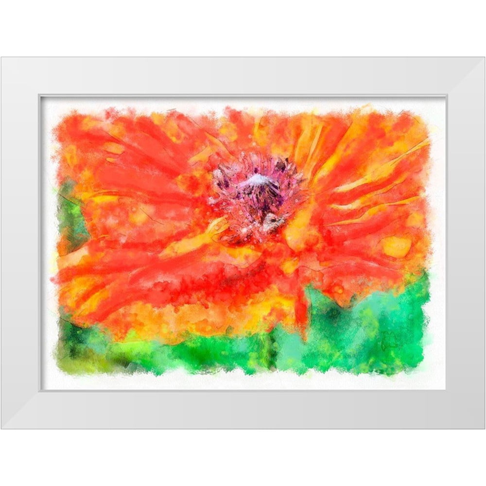 Lavoie, Tina 24x19 White Modern Wood Framed Museum Art Print Titled ...