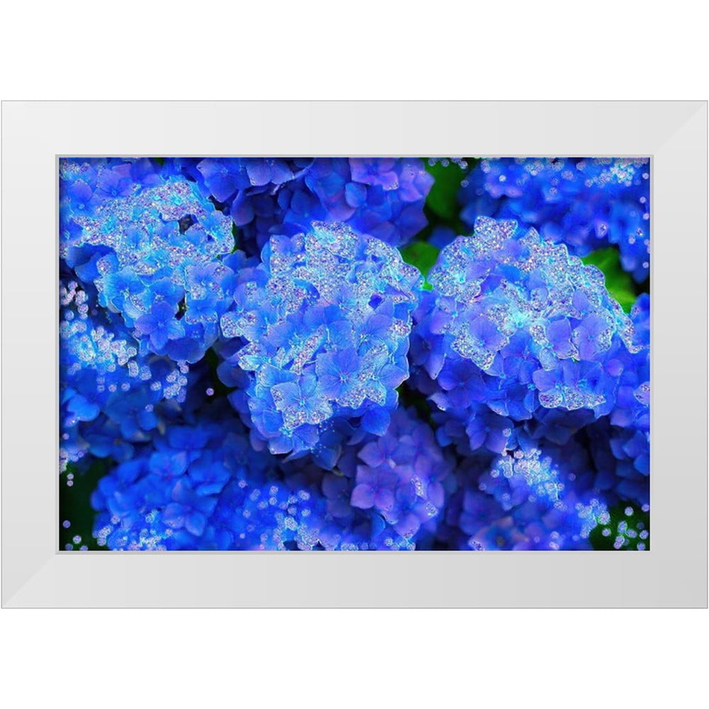 Lavoie, Tina 32x23 White Modern Wood Framed Museum Art Print Titled ...