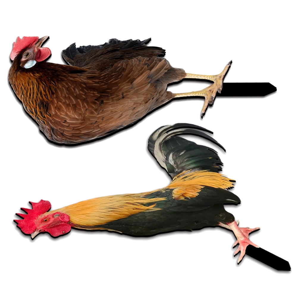 2Pcs Lifelike Hen Stake Signs for Garden Yard Scene Layout with Rooster ...
