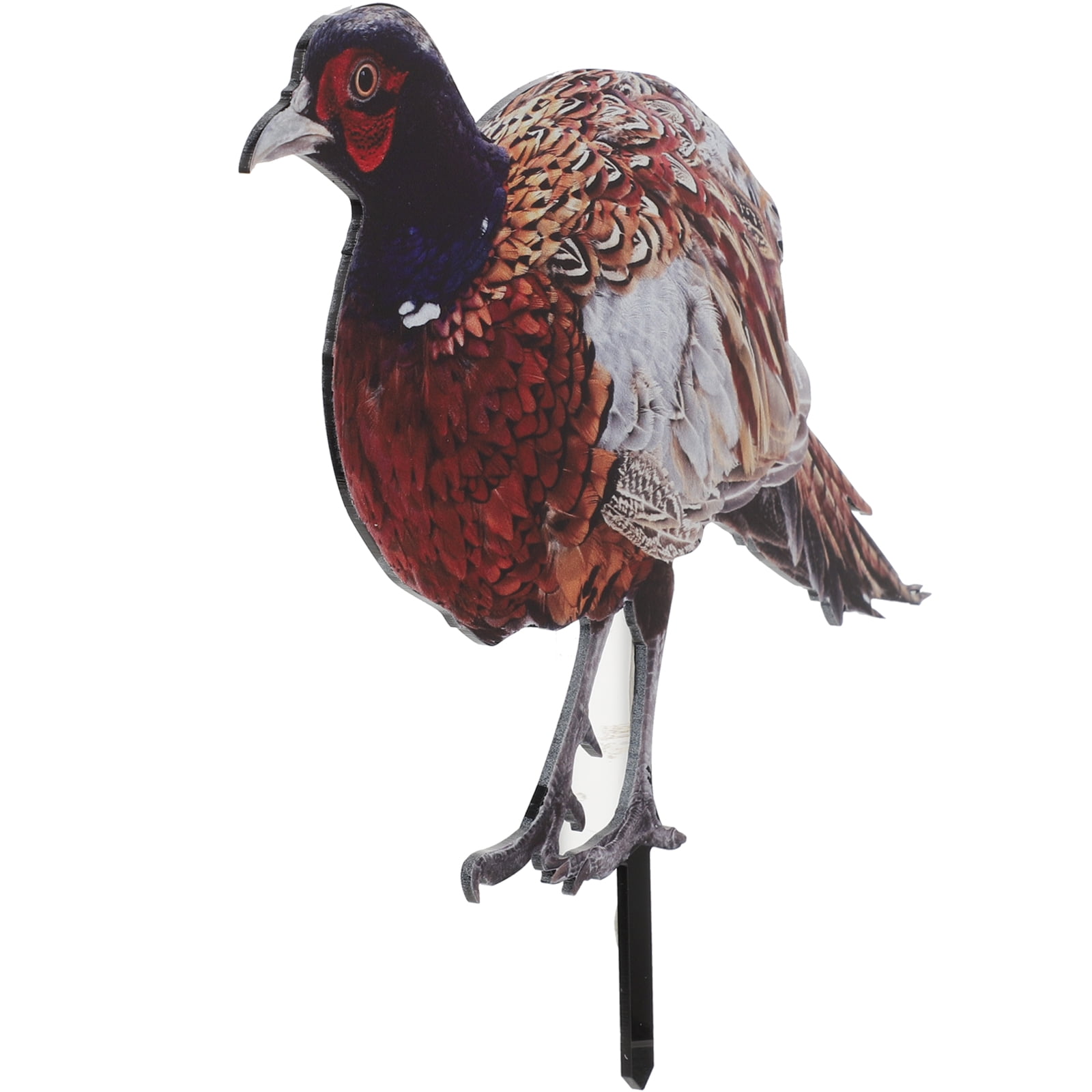 HOMEMAXS Lifelike Pheasant Garden Stake Decoration Made of Durable ...