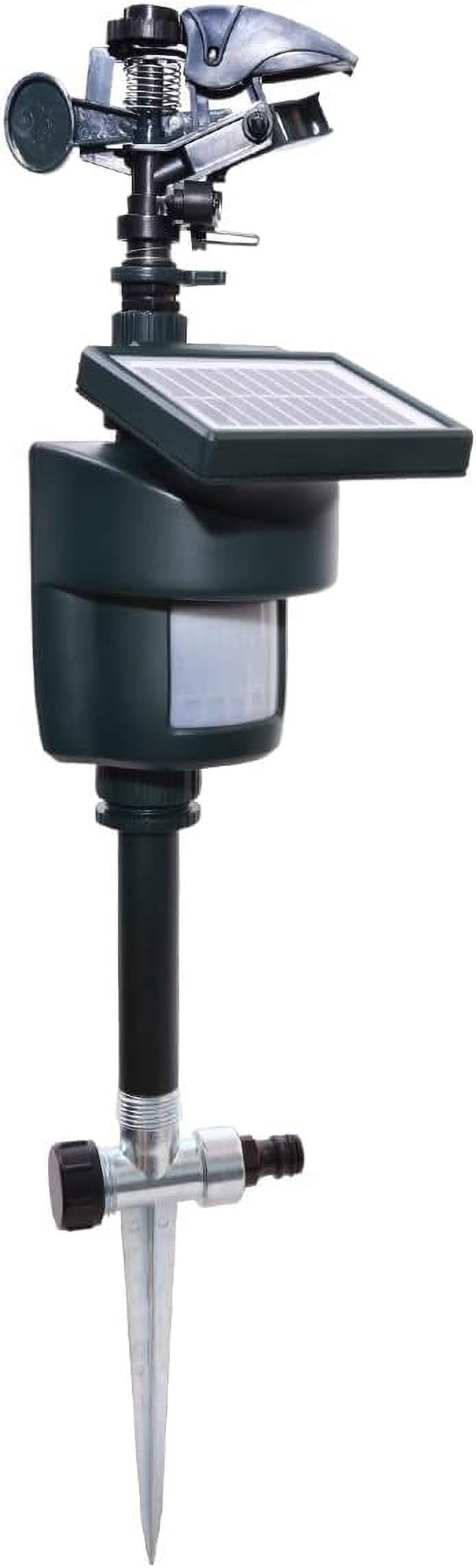 Lawn Solar Motion Sensor Water Sprinkler Motion Activated Sprinkler Cat ...