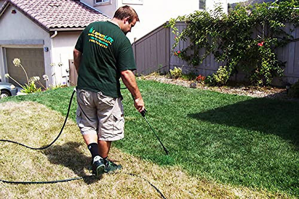 LawnLift Ready to Spray Lawn Paint, 32 Ounce, Covers up to 100 Spots ...