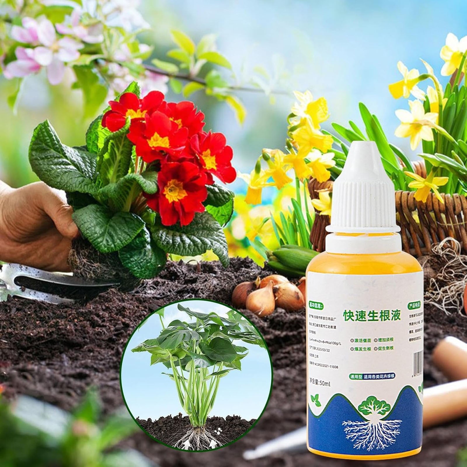 Lawor Plant Growth Enhancer Supplement Improve Surviving Rate Promote ...