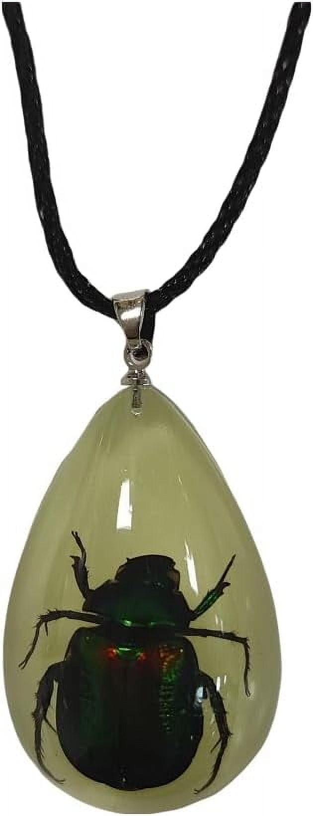 Lawq Real Bug Necklace Real Insect Beetle Spider Scorpion Ant Taxidermy ...