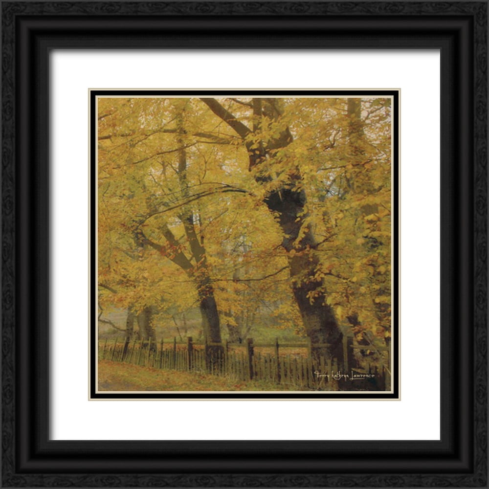 Lawrence, Terry Katherine 12x12 Black Ornate Wood Framed with Double ...