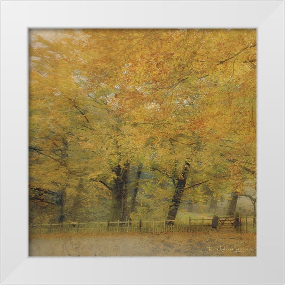 Lawrence, Terry Katherine 26x26 White Modern Wood Framed Museum Art ...