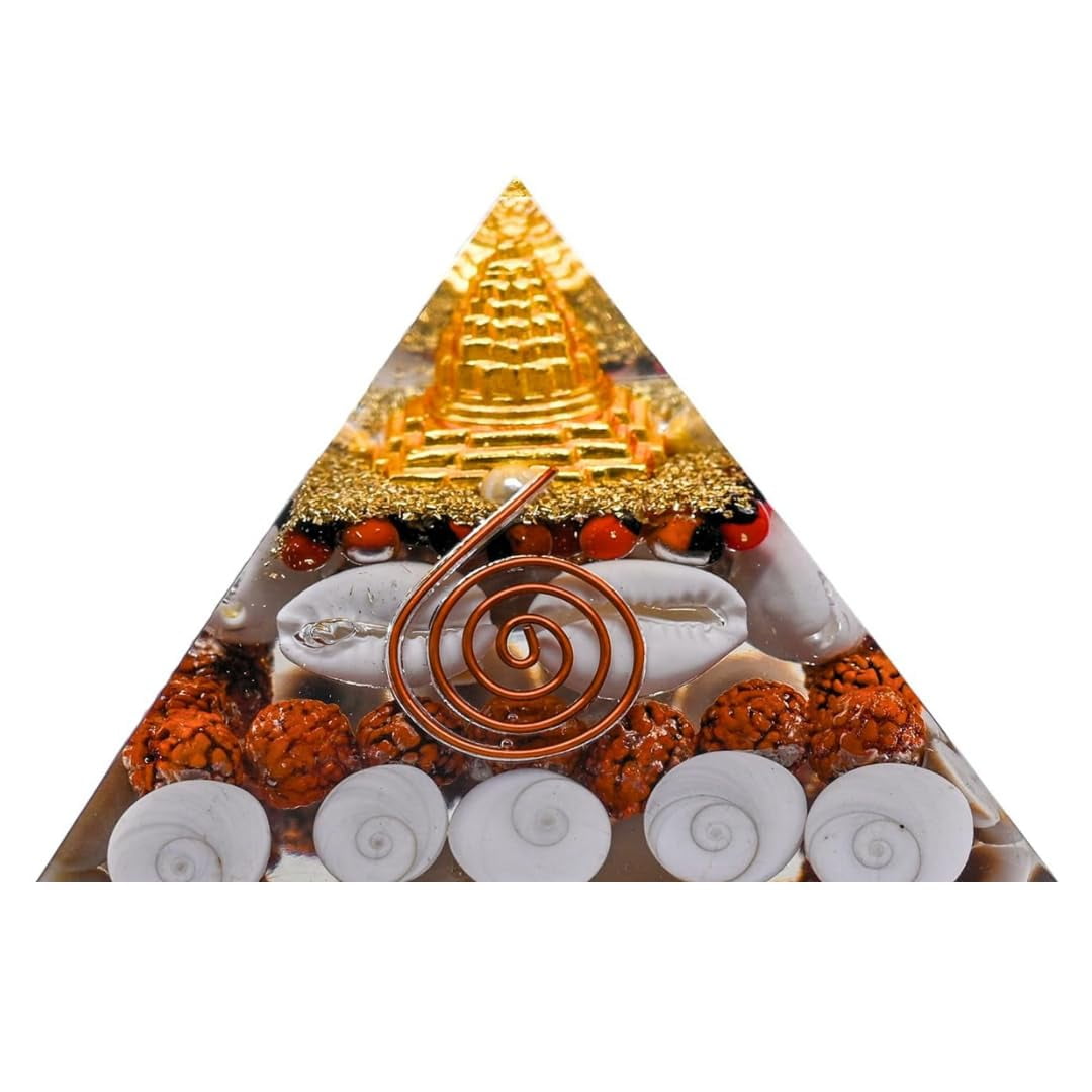 Laxmi Pyramid Original Certified Gomati Chakra Rudraksha Cowrie Ratti ...
