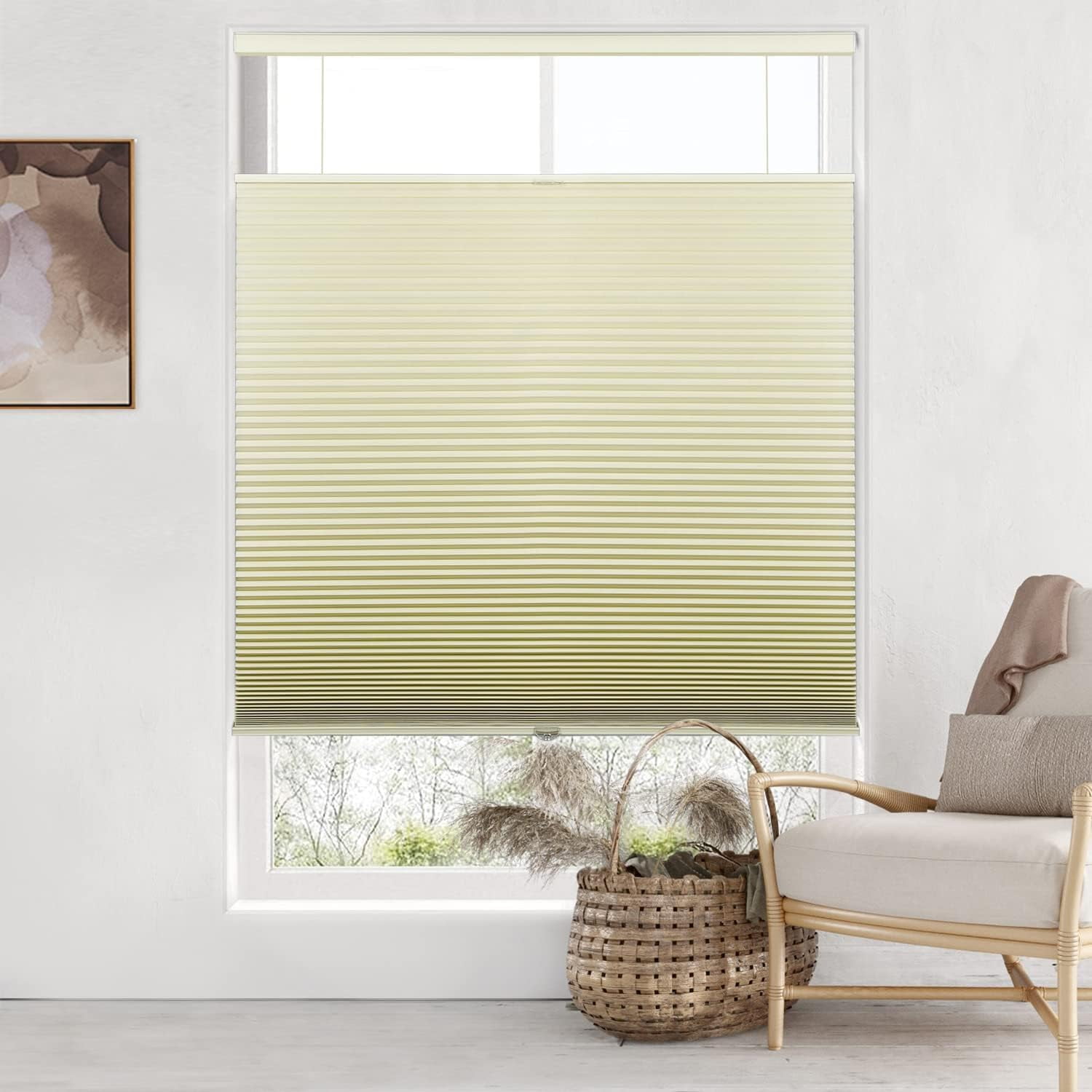 LazBlinds Top Down Bottom Up (TDBU) Cordless Cellular Shades, Blackout ...