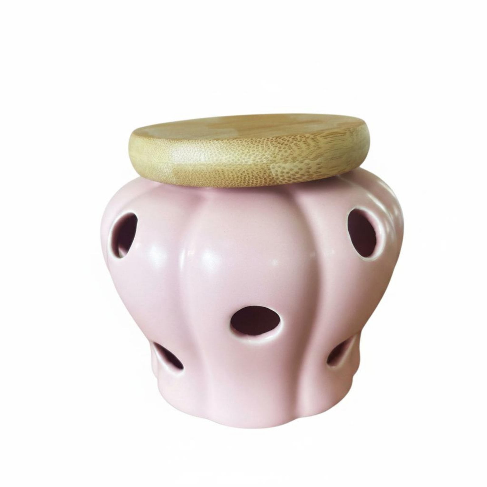 Lazsy Countertop Garlic Storage Large Capacity Garlic and Ginger ...