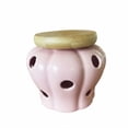 Lazsy Countertop Garlic Storage Large Capacity Garlic and Ginger ...