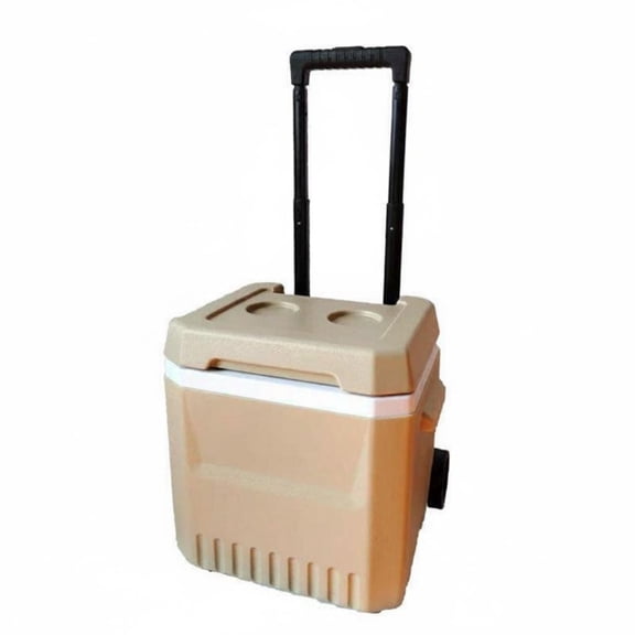 Foam Ice Chest