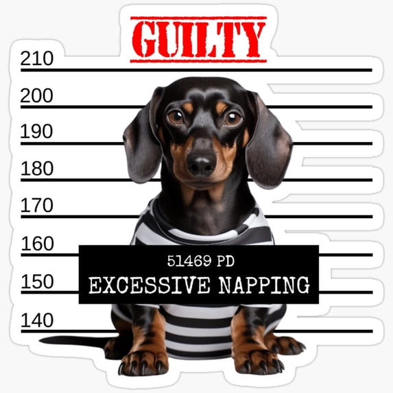Lazy Dachshund Wiener Dog Stickerphone Decal Water Bottle Stickers ...