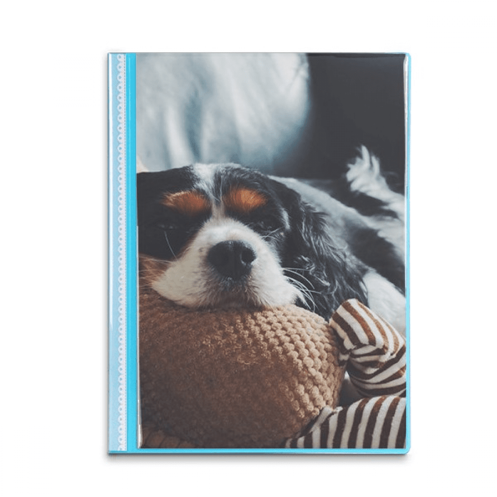 Lazy Dog Animal Sentimental Picture Book Sheet Protectors Portfolio ...
