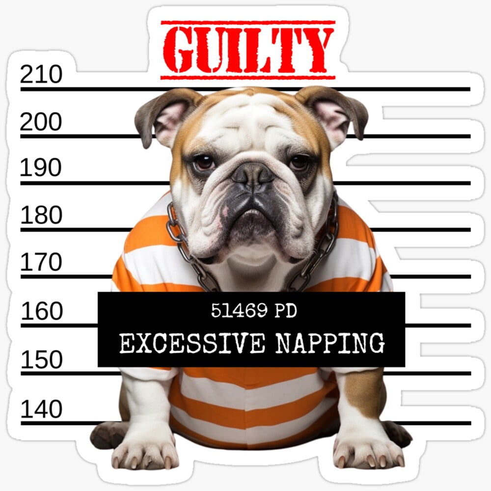Lazy English Bulldog Stickerphone Decal Water Bottle Stickers, Vinyl ...