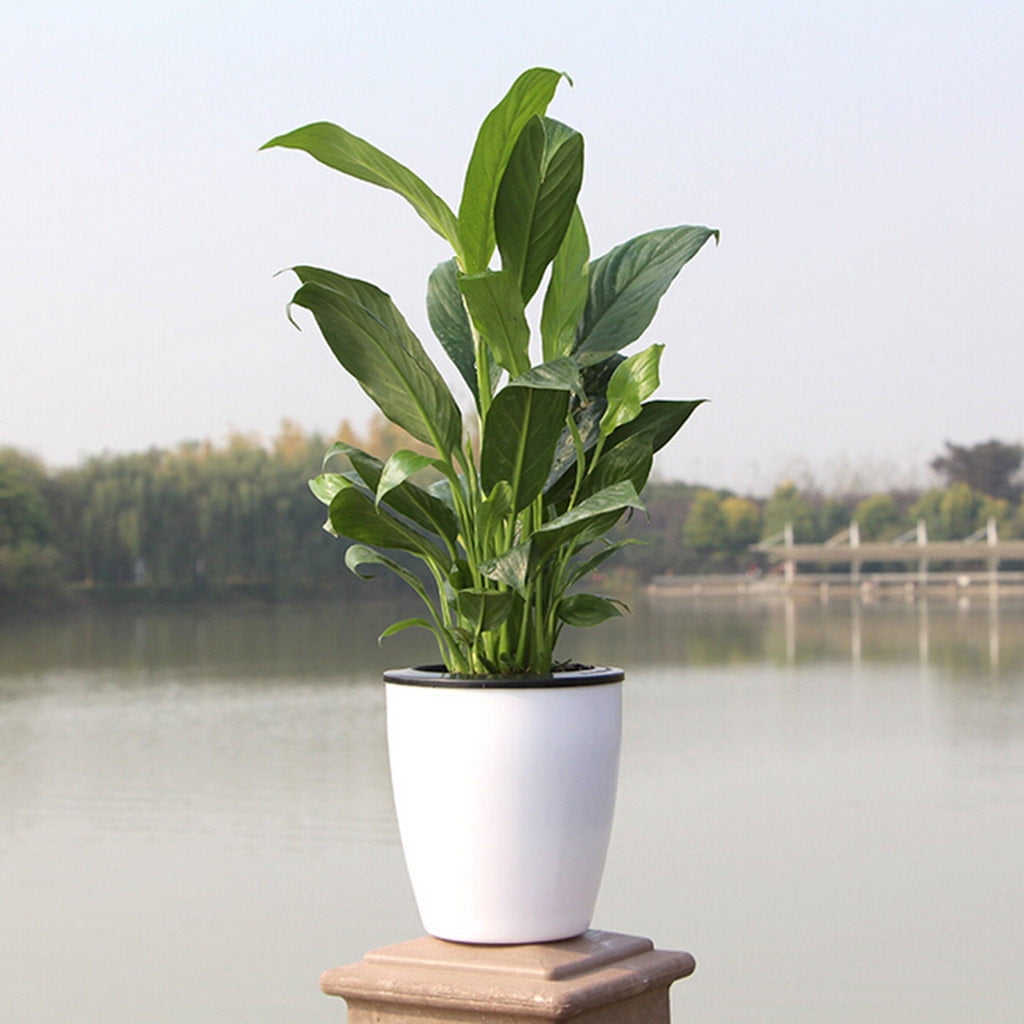 Lazy Flower Pot with Automatic Water Absorption, Self Watering Planter ...