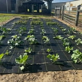 Lazy Garden Kit | 15' x 20' Ground Cover | Irrigation System - Walmart.com