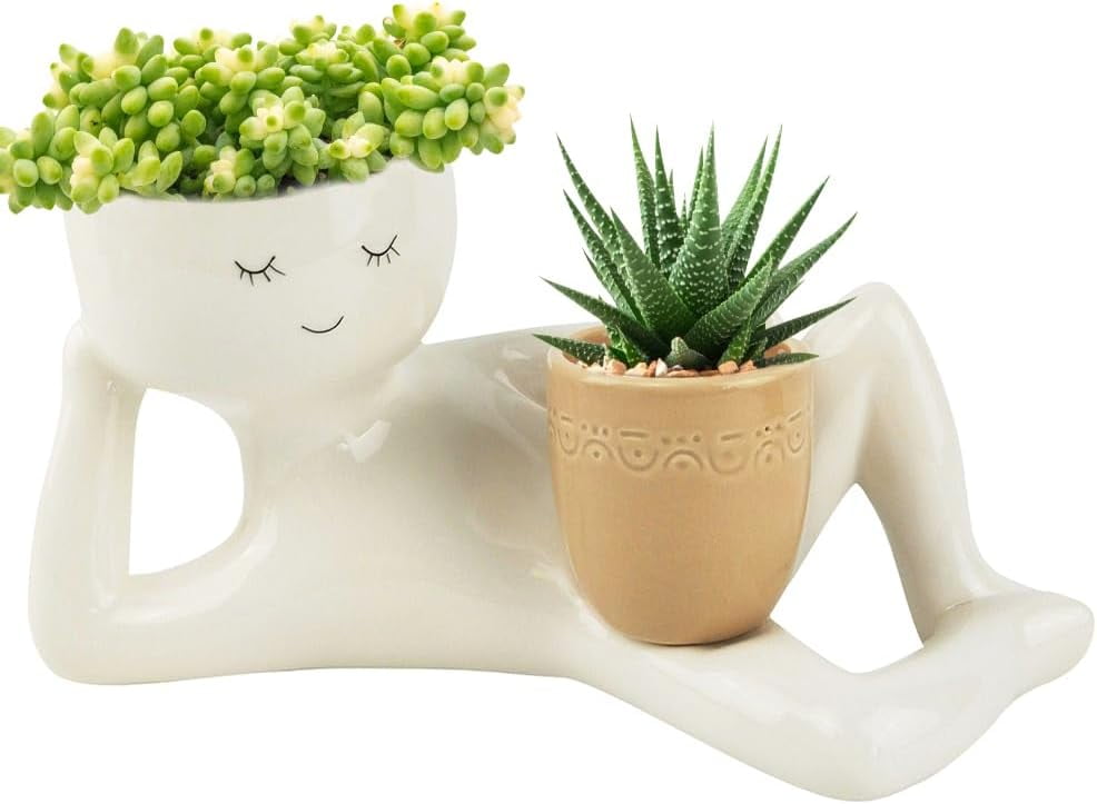 Lazy Guy Planter, Funny Planters for Indoor Plants, Lazy Little ...