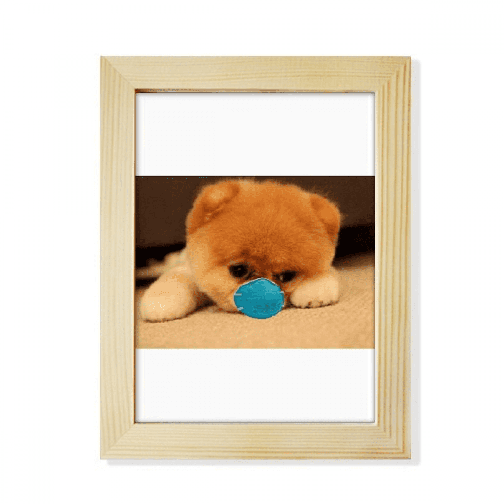 Lazy Head Lovely Pet Dog Expression Desktop Adorn Photo Frame Display ...
