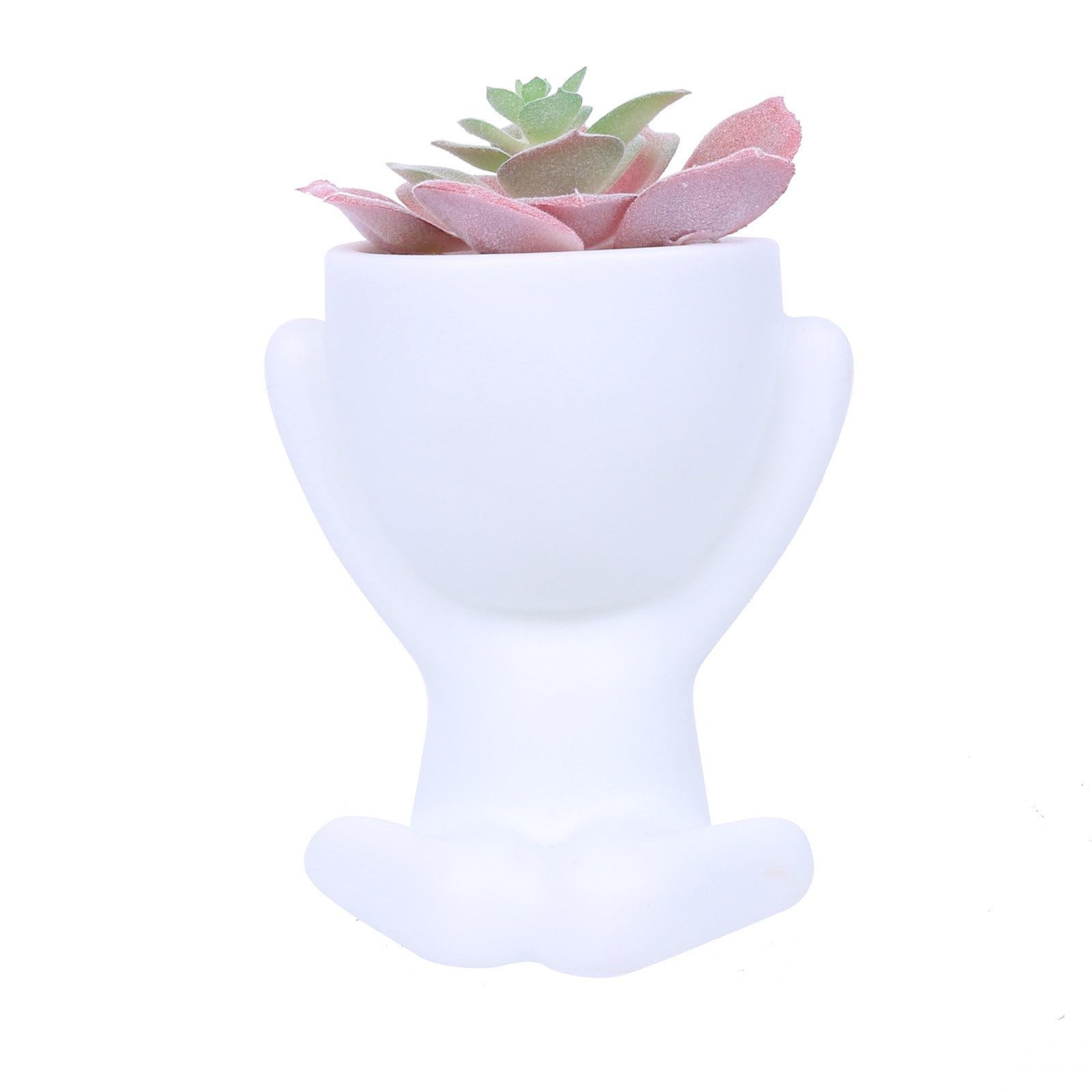Lazy Mans Mini Planter Effortless Dummy Decorative Pots For Desktop And ...